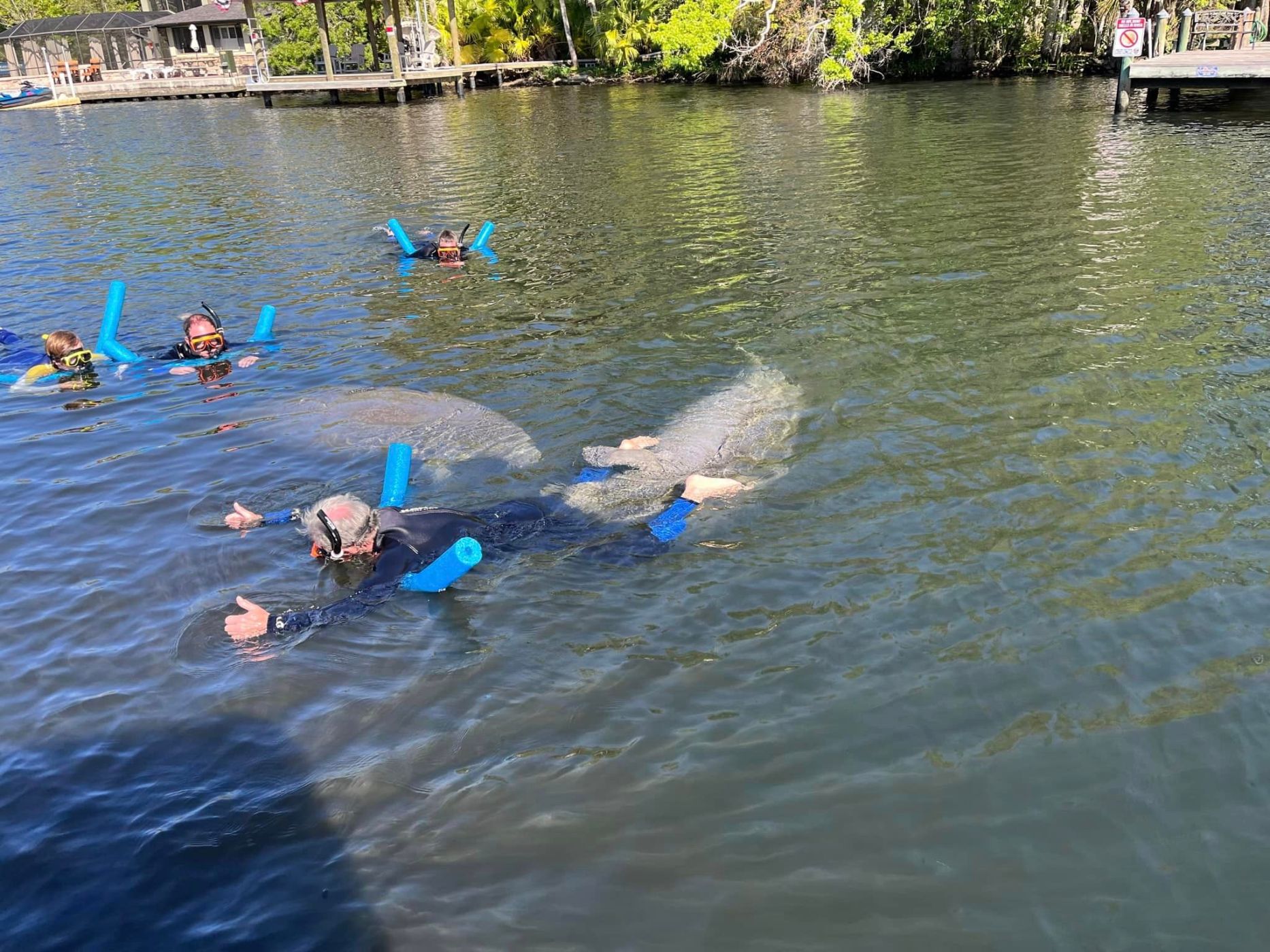Private Manatee Tours on Crystal River, FL | Swim with Manatees